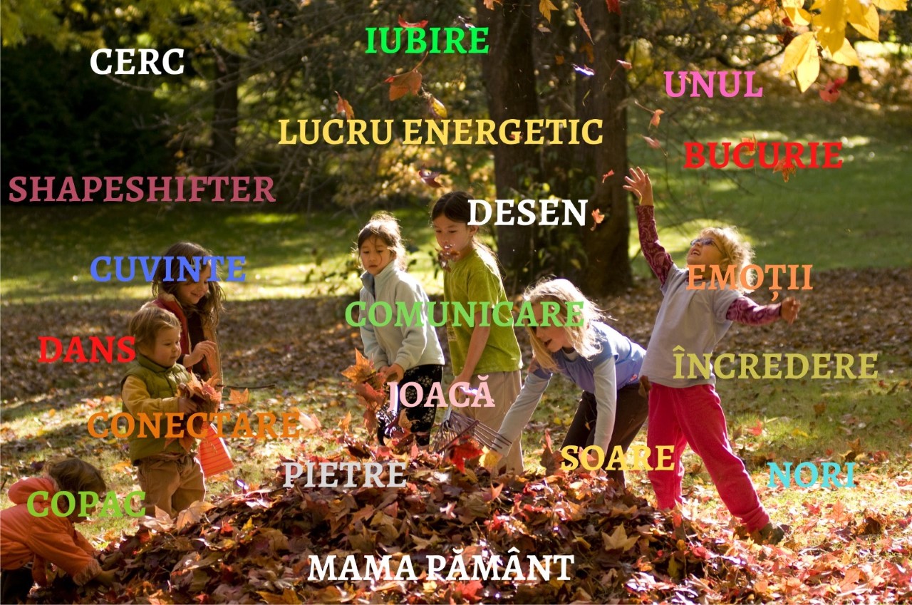 Roata Medicinei pentru Copii - Medicina Energetica Inca